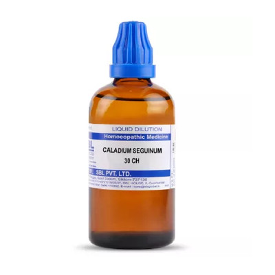 SBL Homeopathic Caladium Seguinum (30 ML / 100 ML) (Select Potency) | eBay