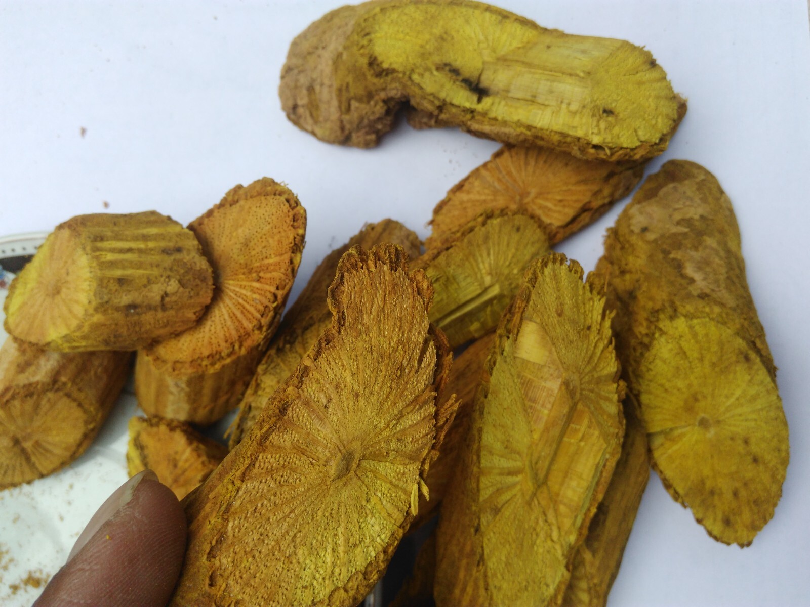 Venivel Chips Venivel_Geta sticks (Coscinium) Natural Herbal Dried Free ...