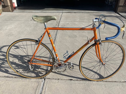 1981 Viner Nirrozi Viviano Racing 23"/59cm Campagnolo Nouvo Record SL ...