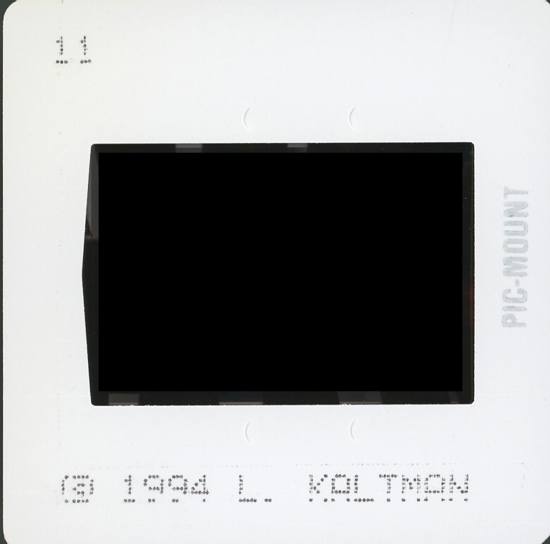 V969 Original 35mm Slide L. Kaltman Vintage Pin Up Model Posing Nude ...