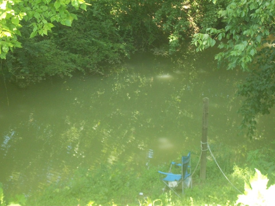 WORM SHOCKER! EARTHWORM for fishing ((doble probe)) | eBay