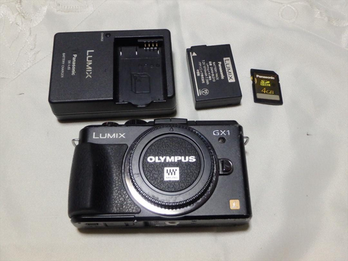 Panasonic LUMIX DMC-GX1 Silver Mirrorless SLR Camera Language Japanese ...