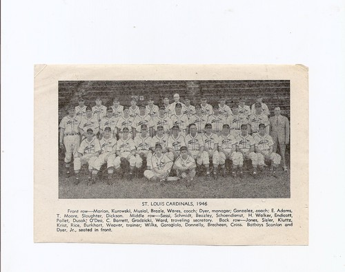 Cardinals 1946 Team Picture Stan Musial Clyde Kluttz Whitey Kurowski Al ...