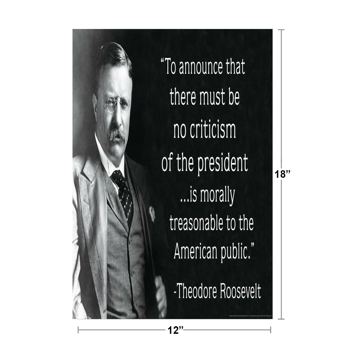Theodore Roosevelt Criticism of the President Quote Teddy Poster 12x18 ...