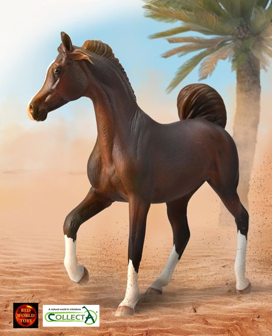 Flaxen Chestnut Arabian Horse