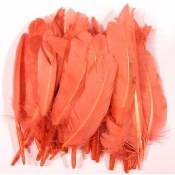Tiny Goose Pointer Feathers 10 grams - Coral | eBay