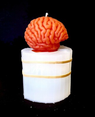 small realistic 3D silicone brain Mold 2'' | eBay