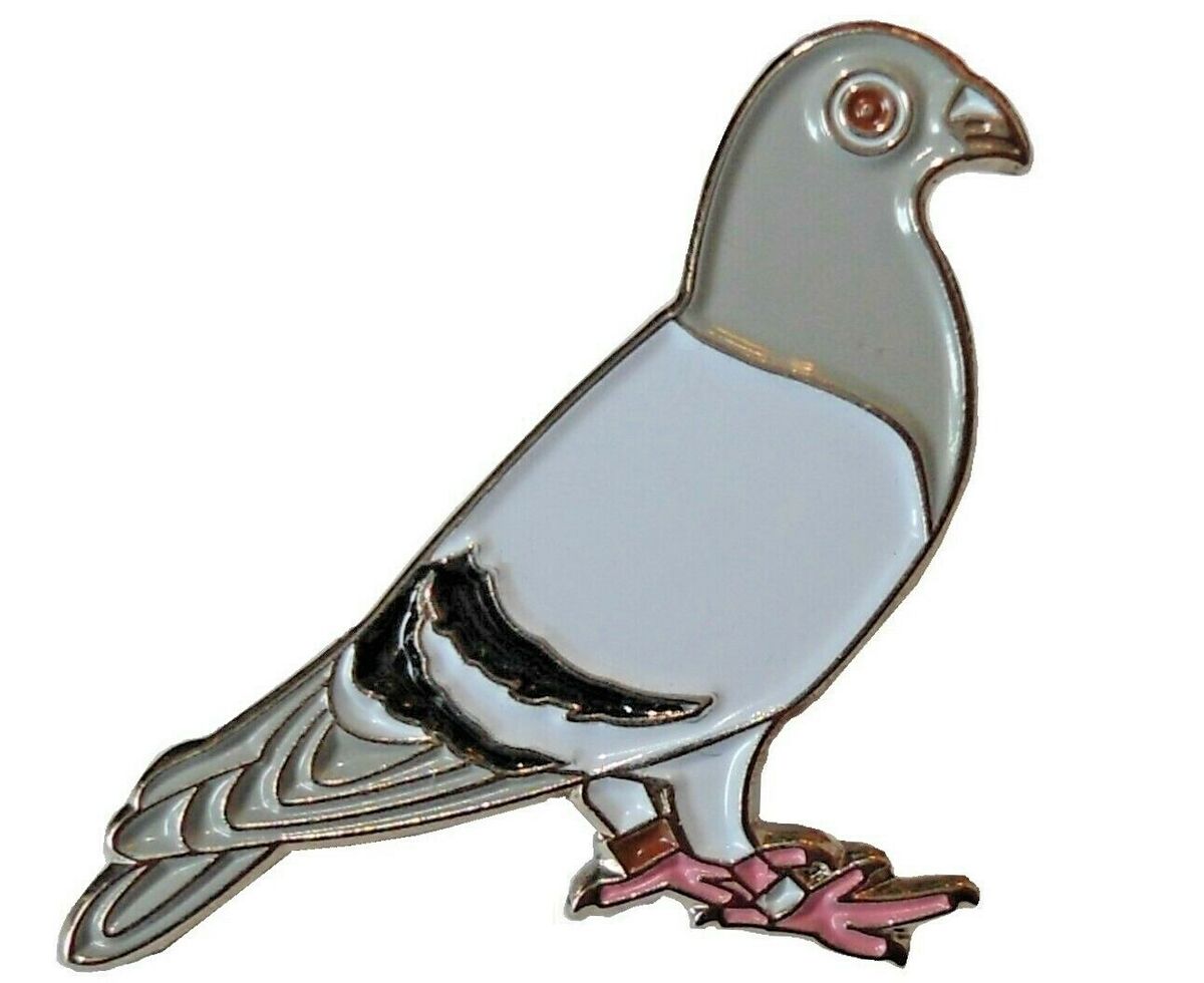 Pigeon brooch store