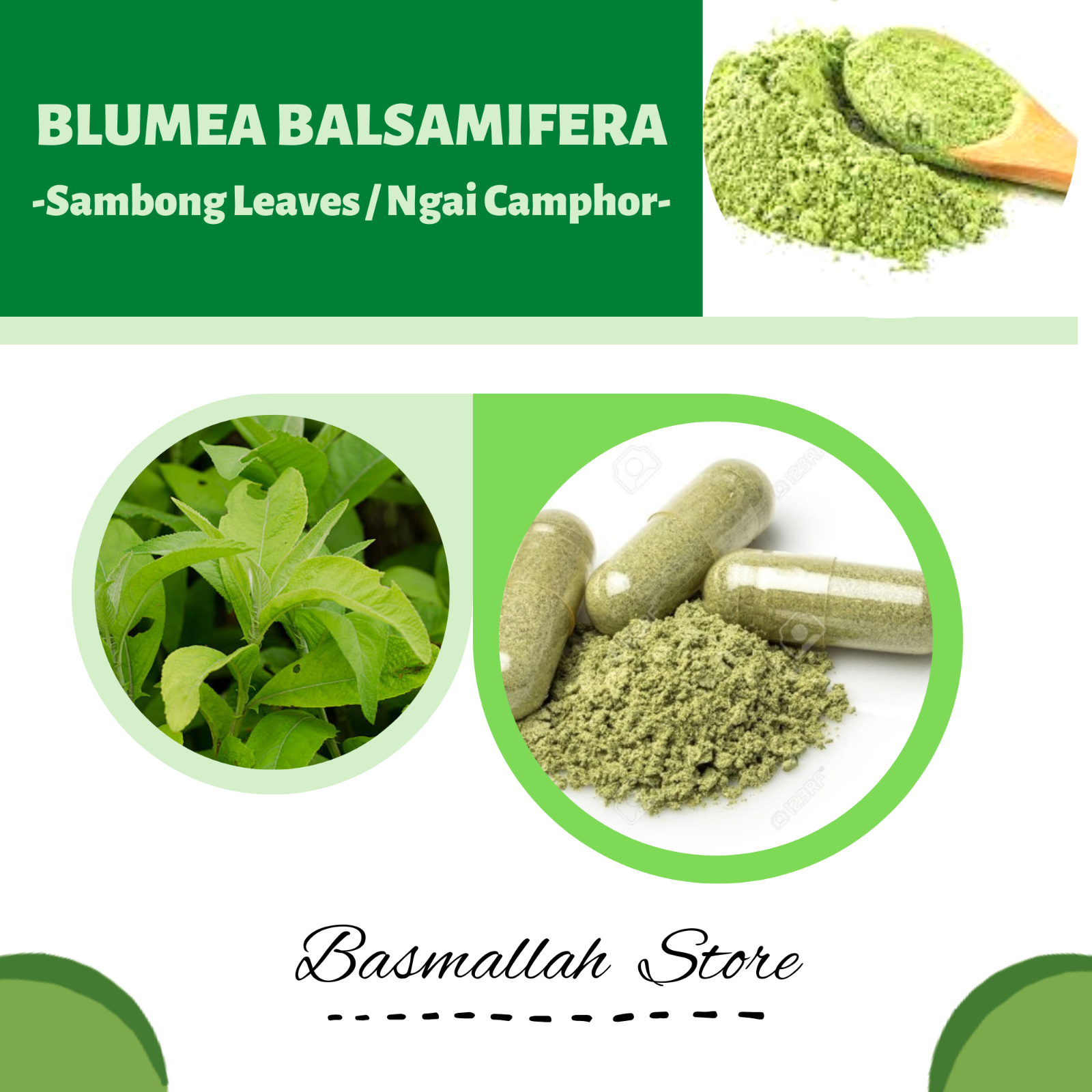 CAPSULES Sambong Leaves Ngai Camphor Blumea Balsamifera Organic ...