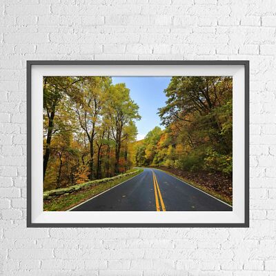 AUTUMN TREES FOREST OPEN ROAD SCENERY POSTER PICTURE PRINT Size A5 to ...