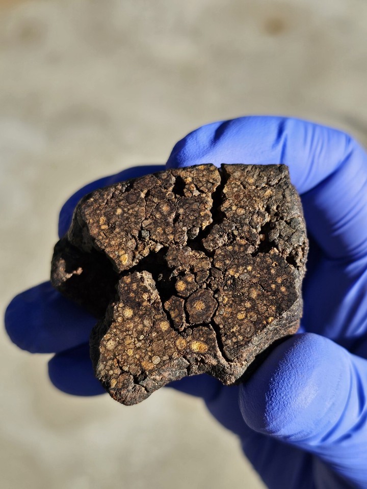 Meteorite**Erg Chech 003, CR2 Carb.**109.50 gram Individual, Rare ...
