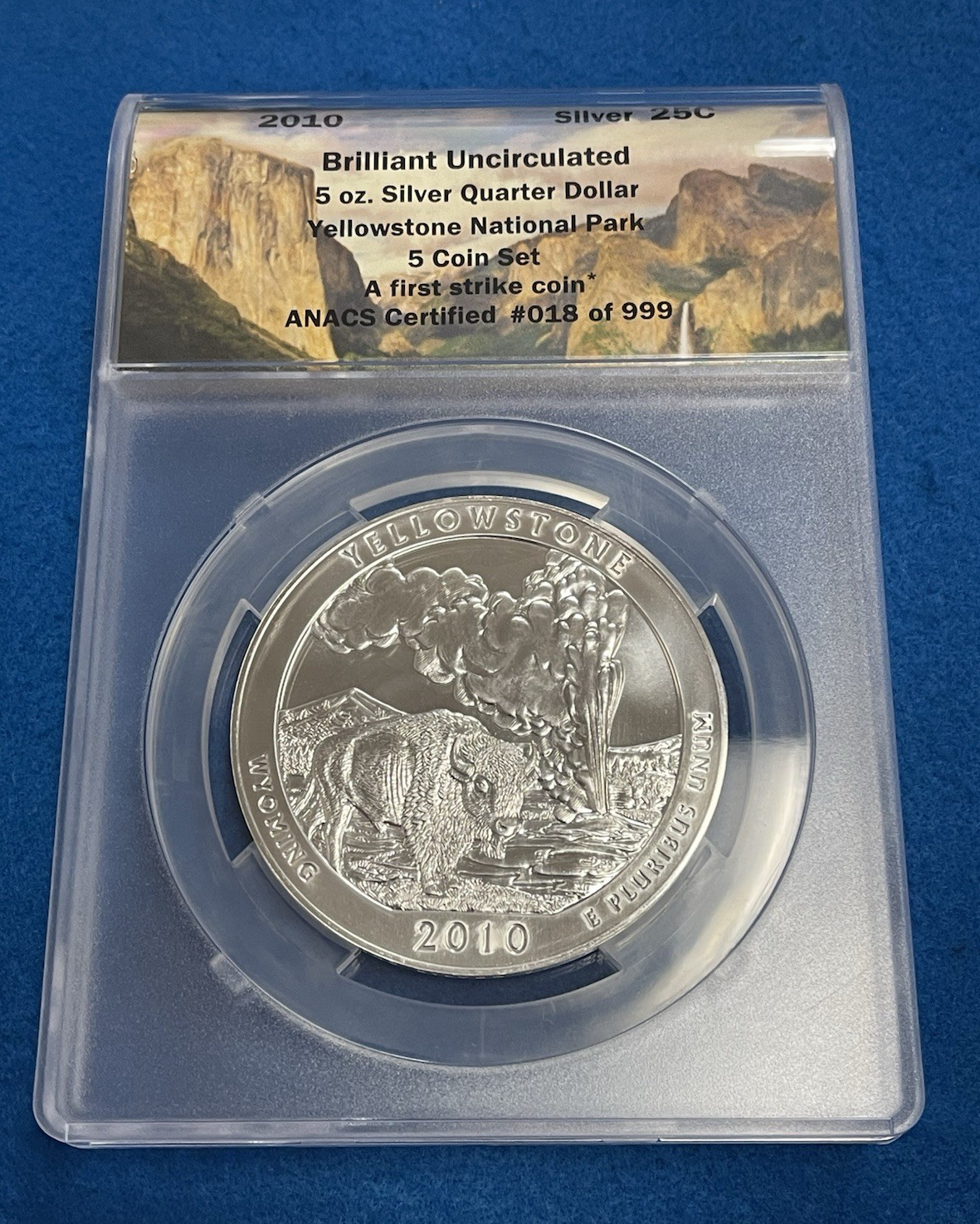 2010-P 5 oz Silver ATB Yellowstone Coin ANACS Brilliant Uncirculated F ...