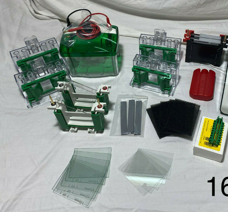 Bio-Rad 1658033 Mini-PROTEANTetra Cell, Mini Trans-Blot Module ...