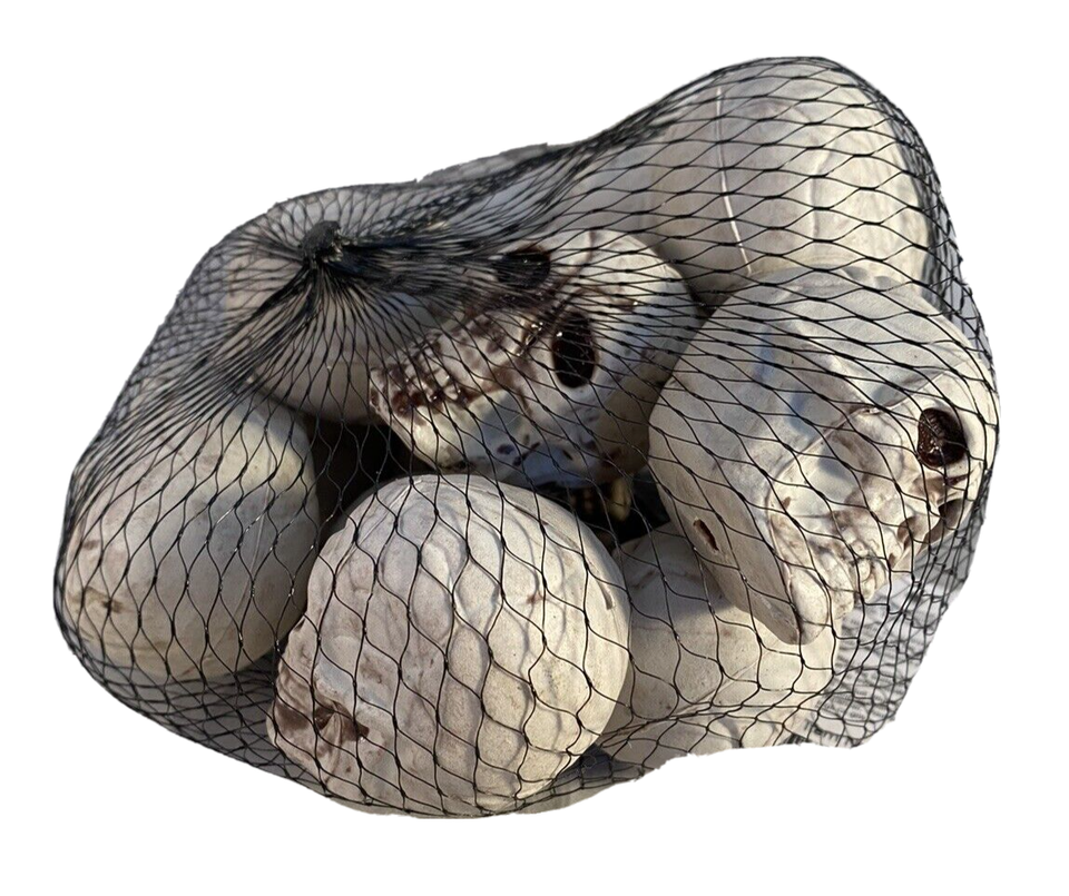 Bag of 12 Piece Small Skull Heads Skeleton Halloween Prop Table Décor ...