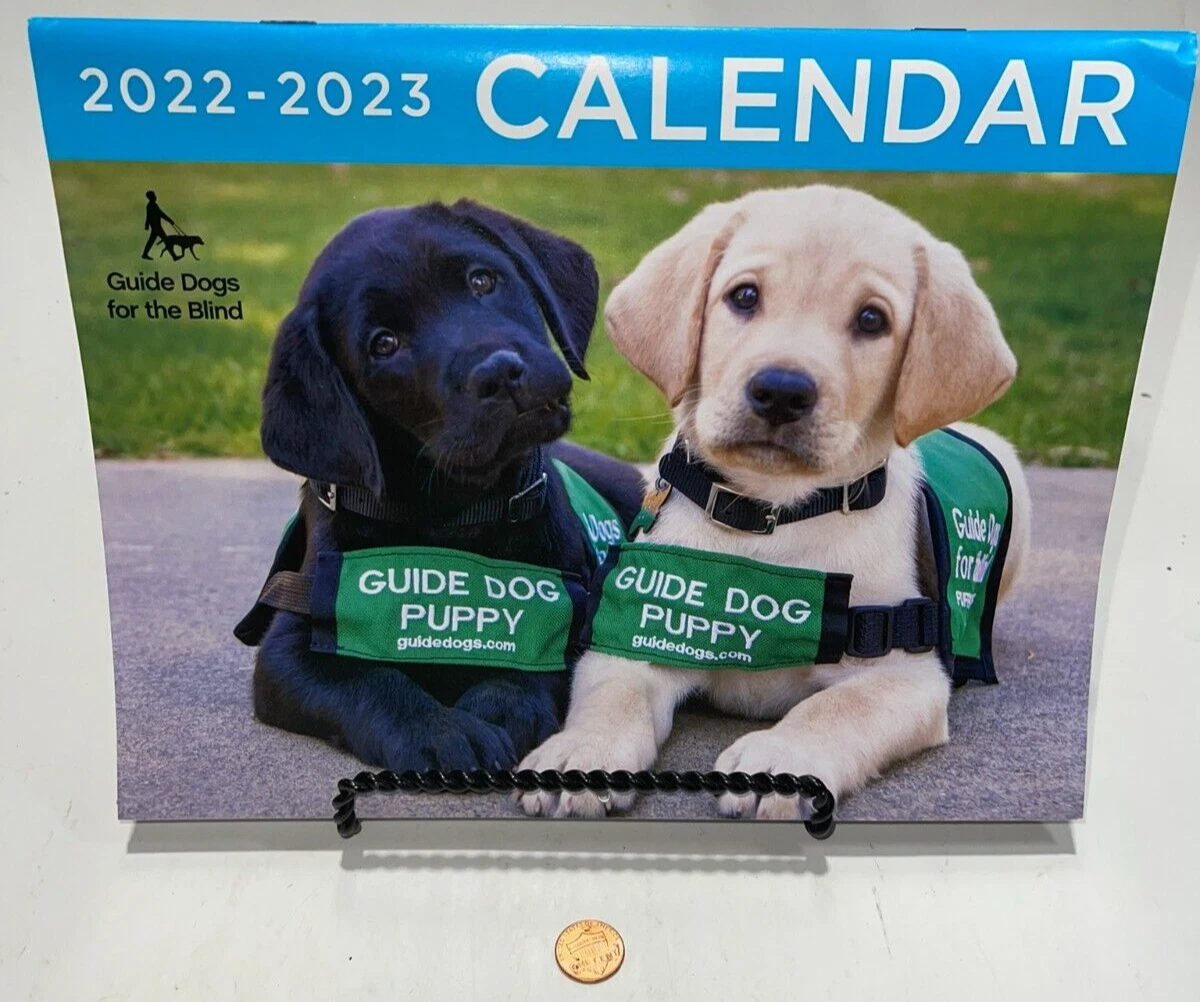 What A Guide Dog Can Do