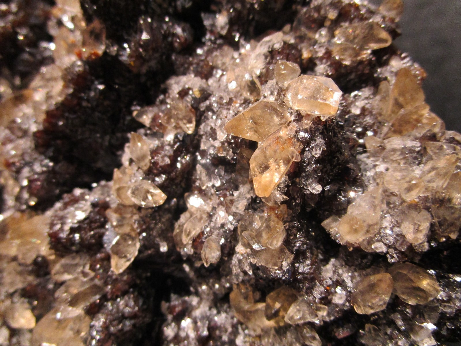 Yellow Scalenohedral Calcite Crystals Dot Chocolate Brown Sphalerite ...