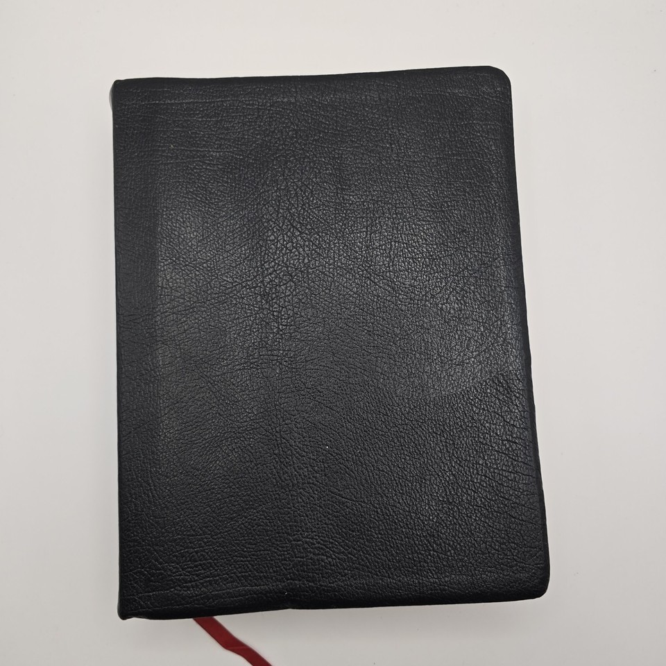 The New Interpreter's Study Bible NRSV w/ Apocrypha Genuine Leather ...