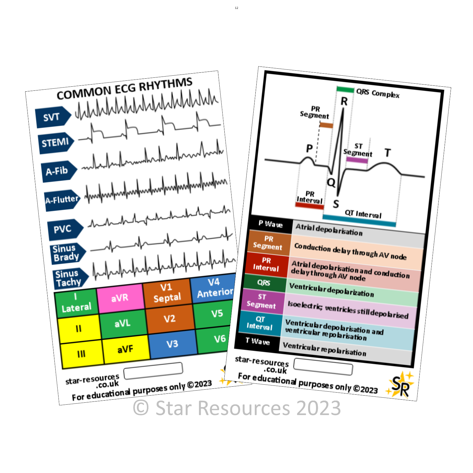Set 2 Patient Assessment Badge Flash Cards Student Nurses, Paramedic ...