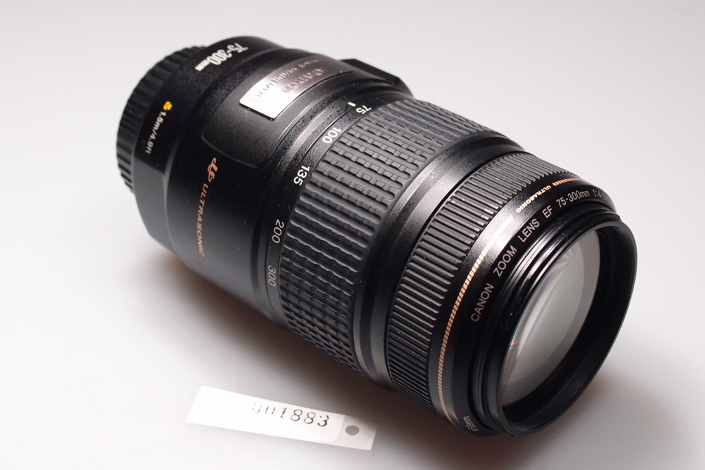 Canon EF 75-300mm f/4-5.6 IS Image Stabilizer Lens | SLR | Auto ...