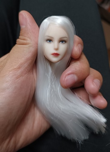 1/6 2B NieR Head Sculpt Long White Hair For 12'' Phicen PALE Female ...