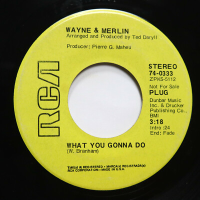 WAYNE & MERLIN - WHAT YOU GONNA DO / SHE'S GOTTA BE MINE - ROCK 45 ...