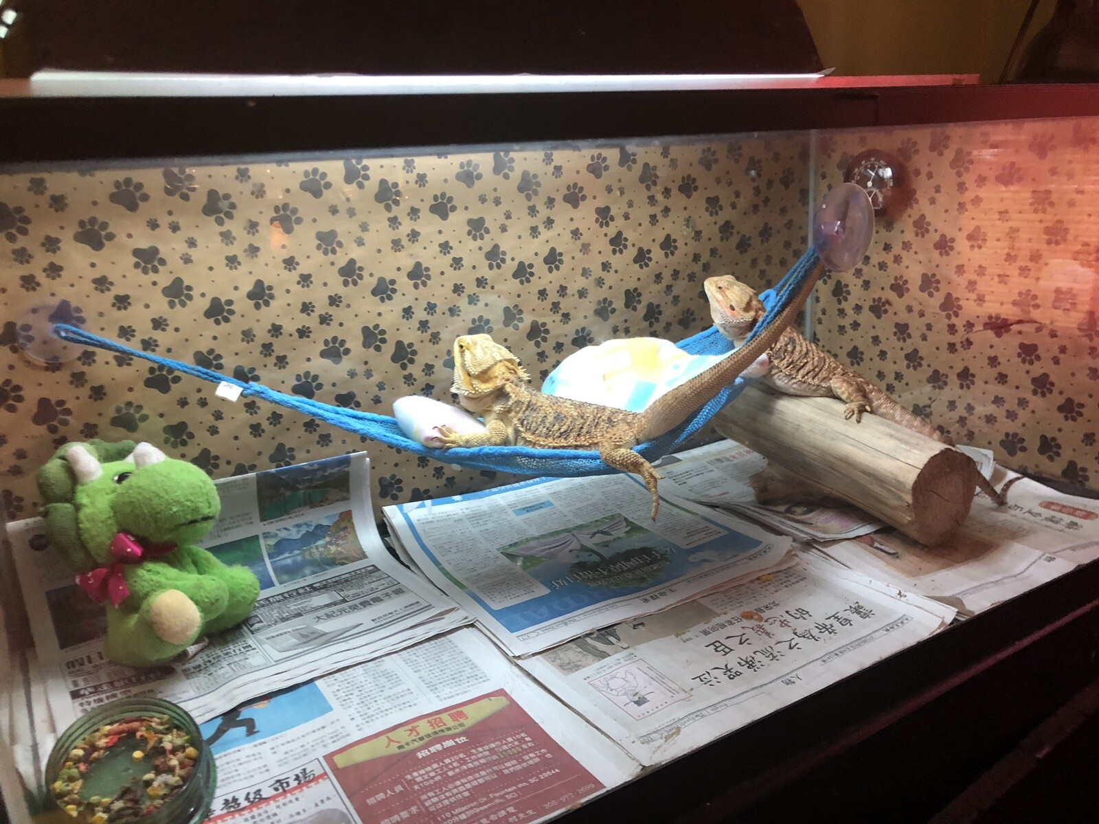 BLUE LRG ATTACHABLE SOFT RESTING HAMMOCKS /PILLOW & BLANKET 4 BEARDED ...