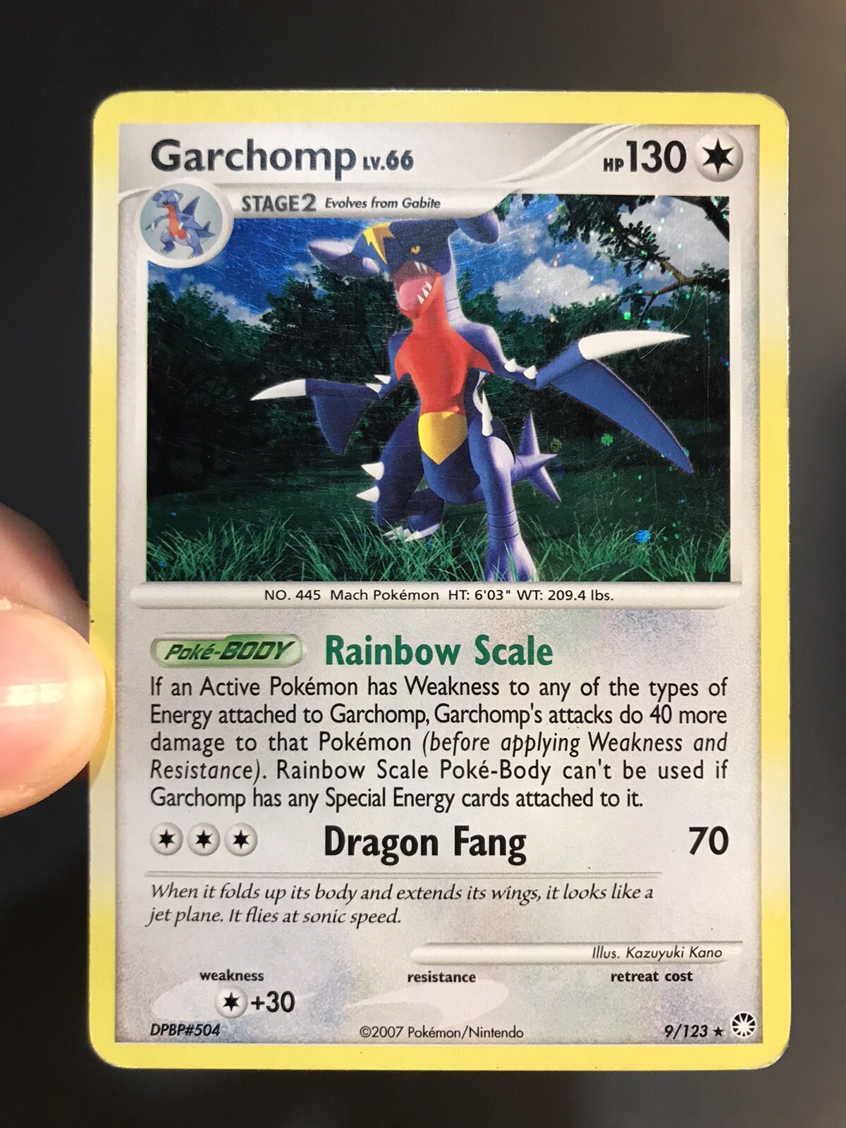 Garchomp Pokemon Card