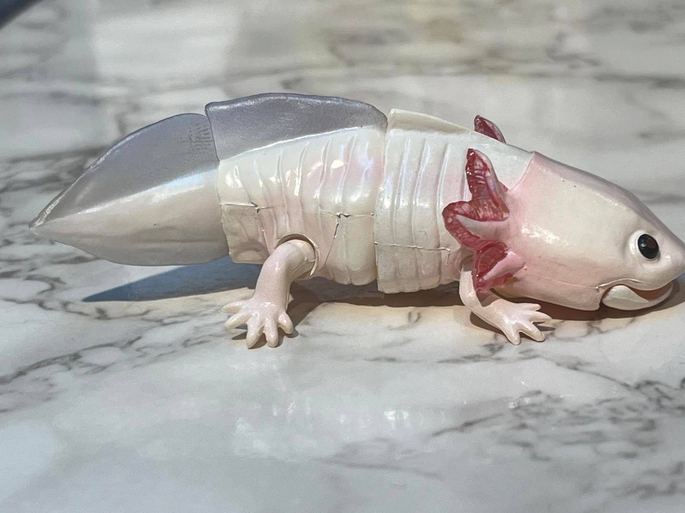 Japan Q Axolotl Salamander PVC Action Figure model with joints (10cm) A ...