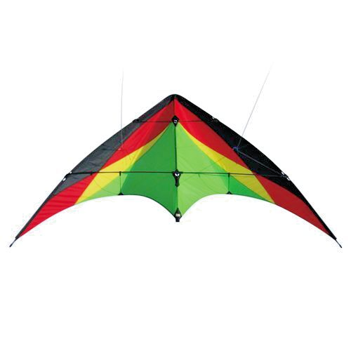 Professional Stunt Kite Dual Line Power Kite Flying Kite Stunt Kite | eBay