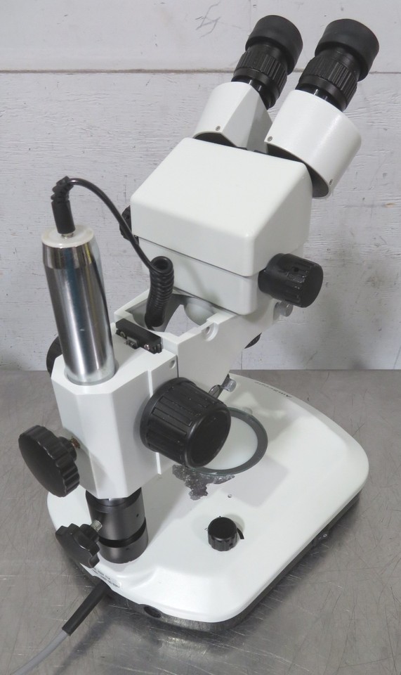 C197747 AmScope Stereo Zoom Microscope, WF10X/20 Eyepieces, Lighted ...