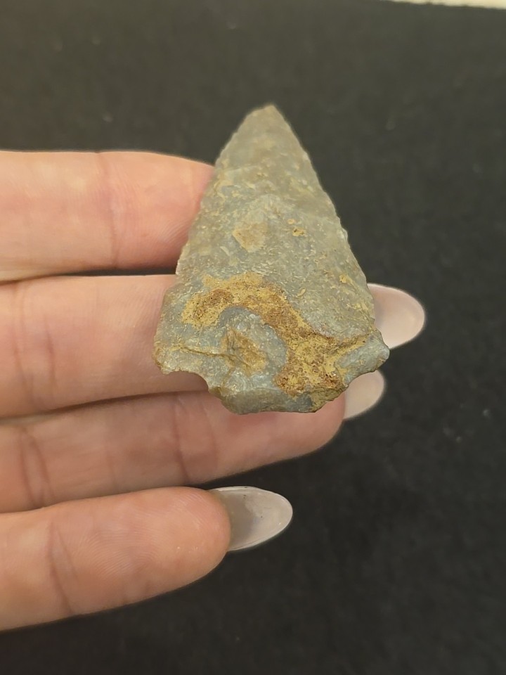 Native American / Indian Arrowhead Artifact 100% Authentic Thin 👁 ...