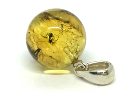 AMBER PENDANT 2 INSECTS Gift Insect Round Bead BALTIC AMBER Silver 925 ...