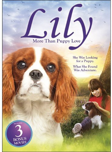 Lily: more than Puppy Love (DVD) for sale online | eBay