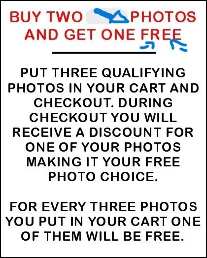 MARILYN MONROE PHOTO ORIGINAL 1953 PLAYBOY GIRL NORMA JEAN BAKER 4x6 ...