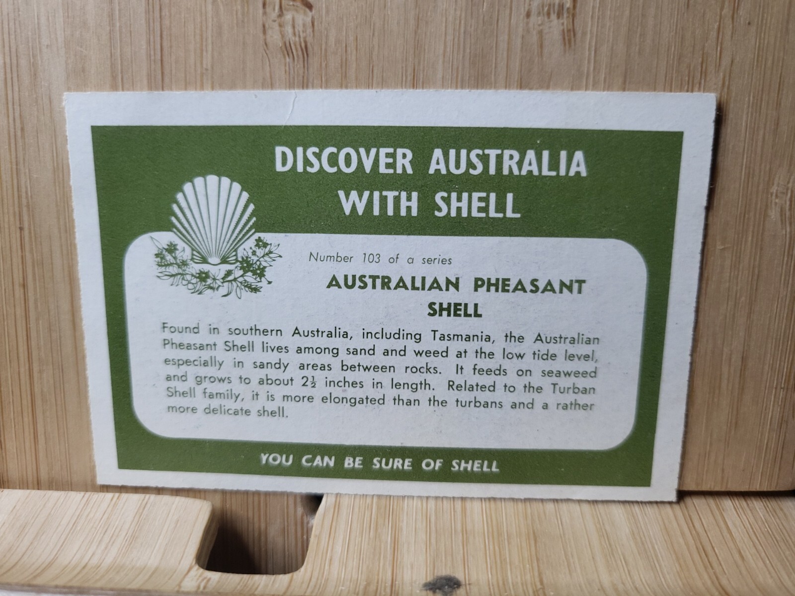 Shell Project Cards SHELLS FISH & CORAL🏆#103 AUSTRALIAN PHEASANT S 1960 ...