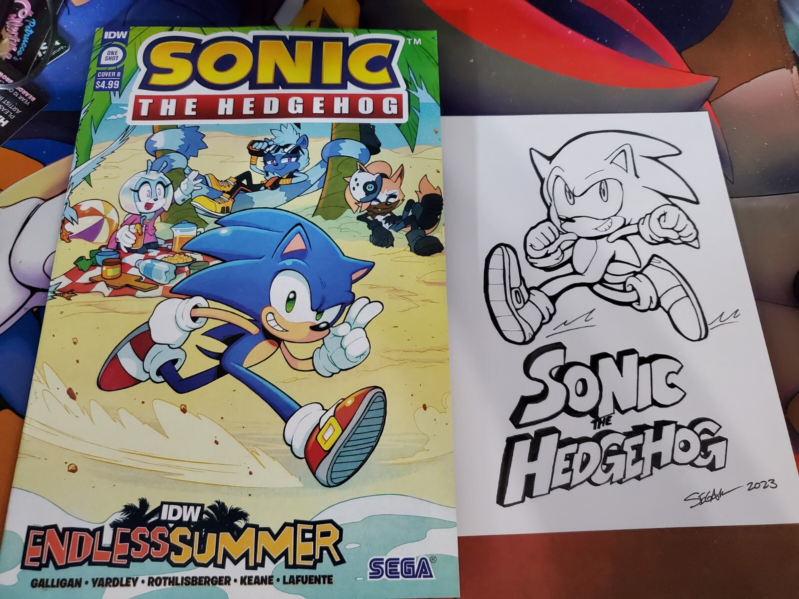 SONIC THE HEDGEHOG ENDLESS SUMMER B IDW Comics 2023 Lawrence Original ...