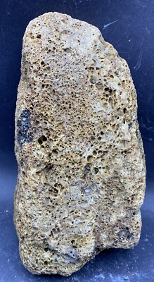 Fossilized Indiana Agate crinoid Stems In Jasper Bedrock 1.5 Lb | eBay