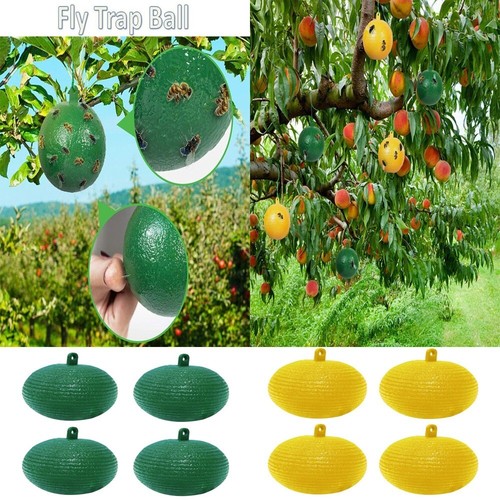 Hanging Ball Fruit Fly For Flies Fruit Flies Moths And Other Flying ...