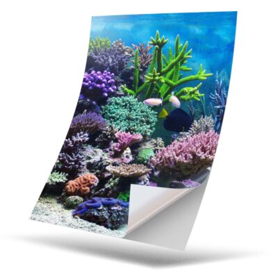 1 x Vinyl Sticker A4 - Underwater Reef Ocean Sea Diving Dive #8937 ...