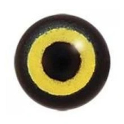 Acrylic Bird Eyes - Multi - coloured Round Pupil - Dome Shape | eBay UK