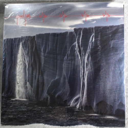 Pearl Jam Gigaton 2LP Vinyl Side D Etched EU Edition Booklet Vedder PJ ...