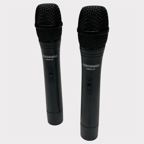 Gem Sound GMW-61 Wireless Dual Microphone System With 2 Wireless ...