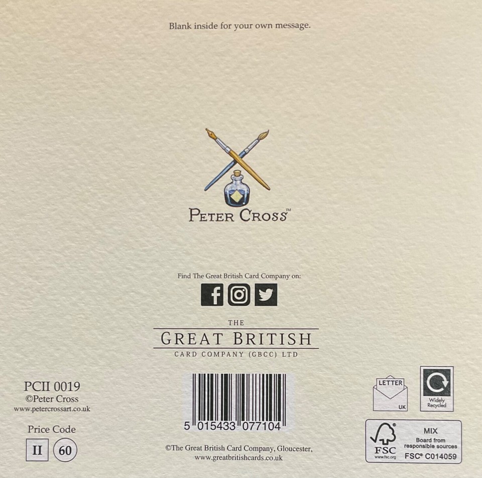 Peter Cross Greetings card ~ Bottle Cello ~ Fun ~ Mice ~ Hamsters ...