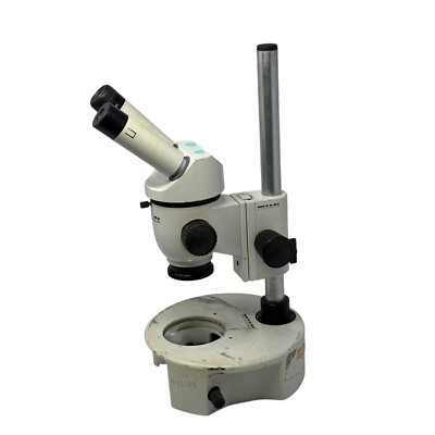 Wild Heerbrugg M3 Stereo Zoom Microscope 10x Eyepieces with Lighted ...