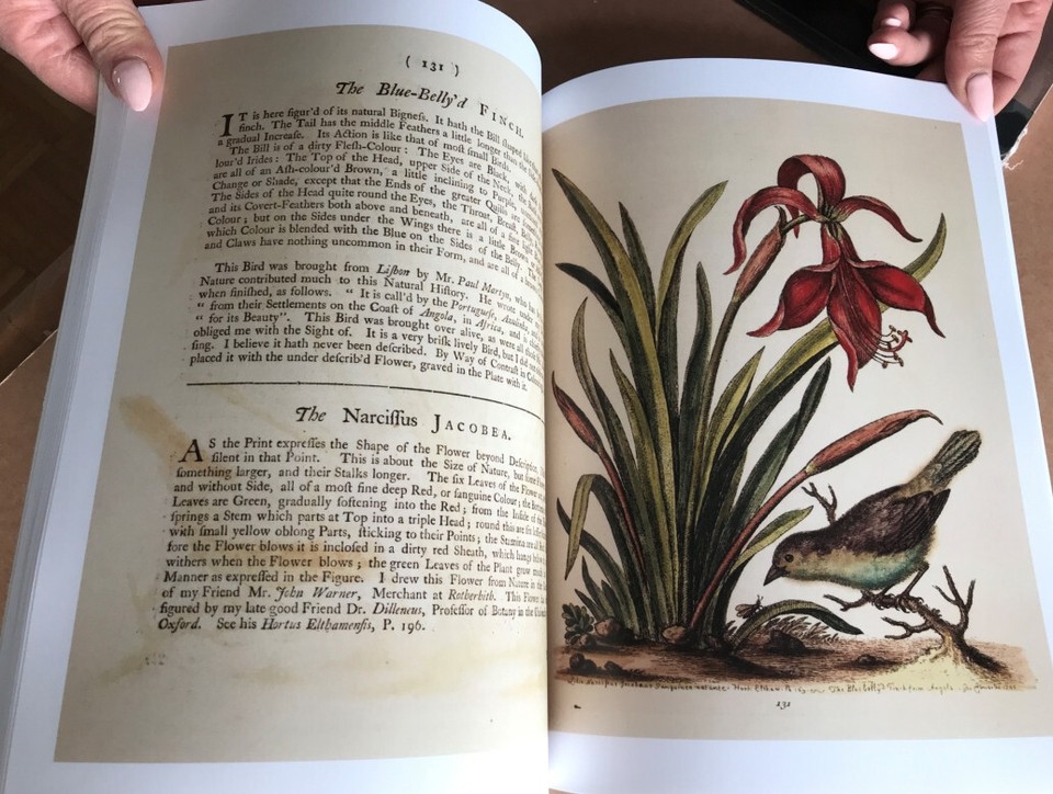 George Edwards (1743-1751) A Natural Hisotry of Birds Habitat Animals ...