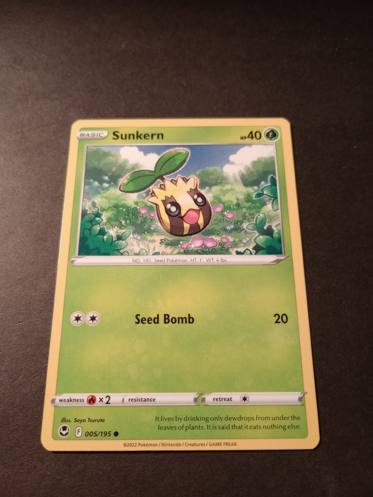 Pokemon Silver Tempest Sunkern Common Card 005/195 NM | eBay