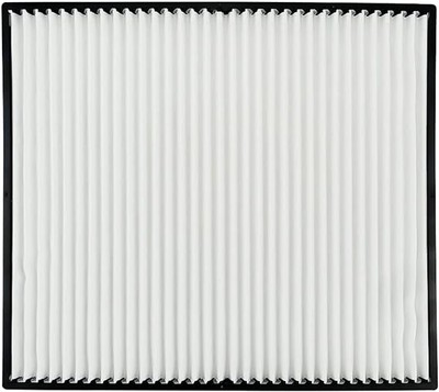 Cabin Air Filter for Kenworth Peterbilt Replaces Luberfiner CAF24036 ...