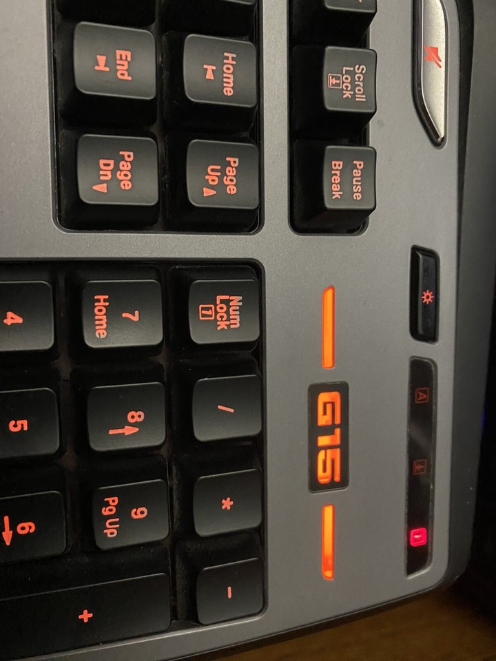 Logitech G15 Gaming Keyboard Y-UW92 Wired USB Illuminated Screen TESTED ...