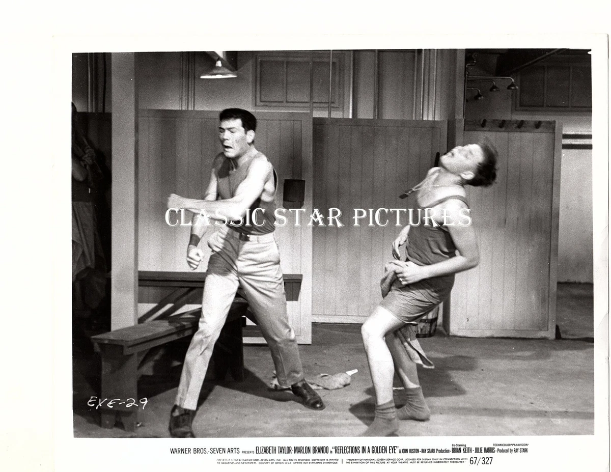 Robert Forster Reflections In A Golden Eye