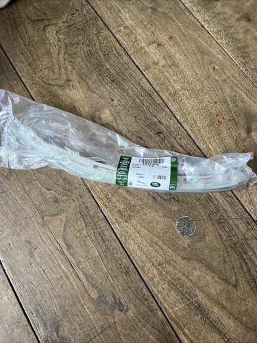 New Genuine Timing Chain Rail (OE# LR111078) | eBay